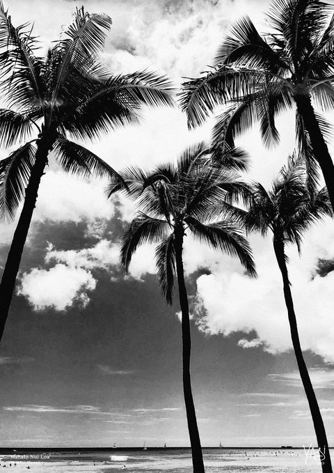 MAHALO NUI LOA – Yasi